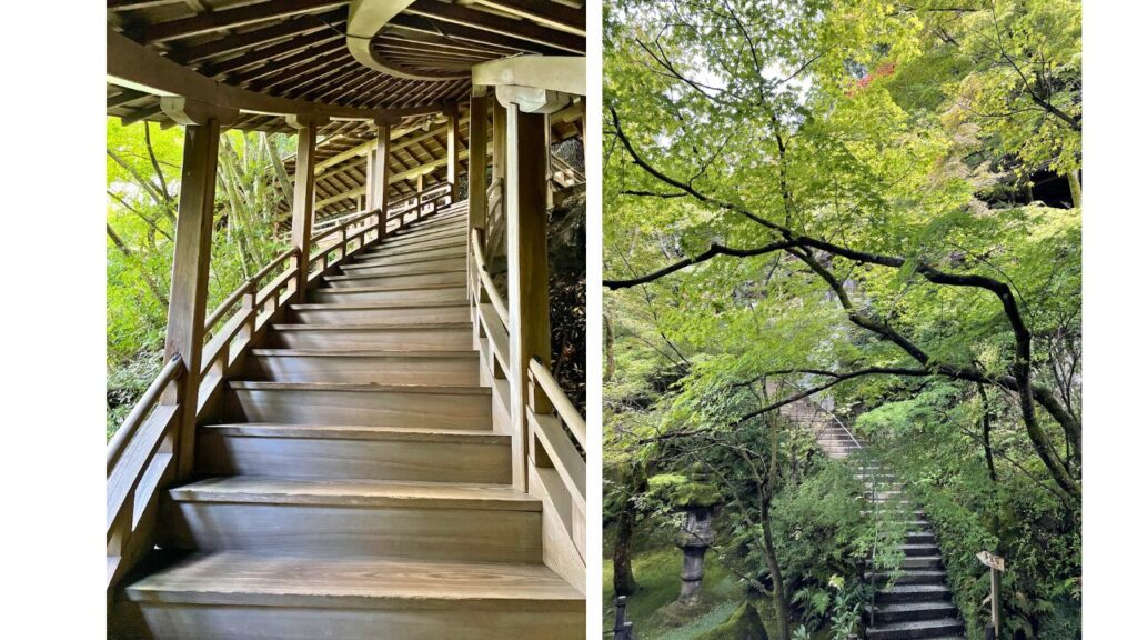 みかえり阿弥陀とは？【永観堂（禅林寺）】｜魅力と見どころ解説｜京都 | 心整う 仏像旅