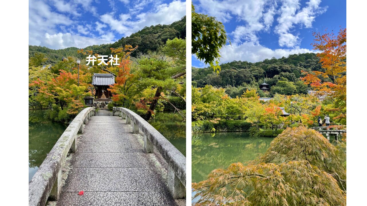 みかえり阿弥陀とは？【永観堂（禅林寺）】｜魅力と見どころ解説｜京都 | 心整う 仏像旅