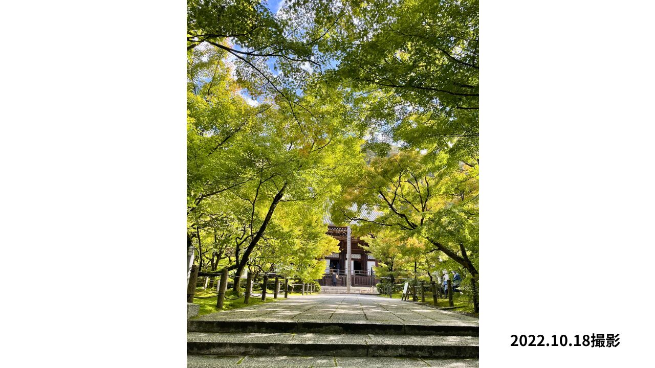 みかえり阿弥陀とは？【永観堂（禅林寺）】｜魅力と見どころ解説｜京都 | 心整う 仏像旅
